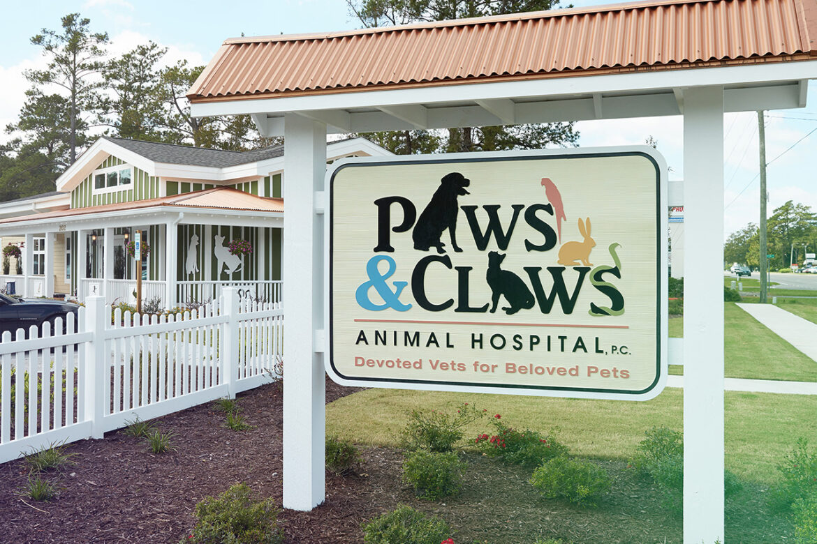 Veterinary Practice Loans | Business Loans from Live Oak Bank