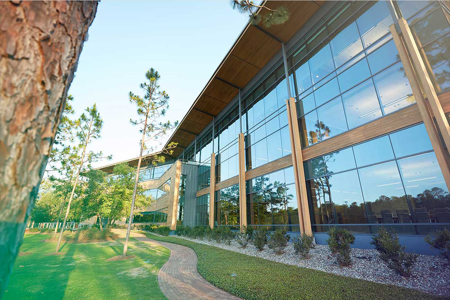 Specialty Finance | Commercial Loans | Live Oak Bank